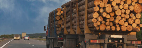 DOT Cargo Securement Flatbeds Training – Safety Solutions & Supply